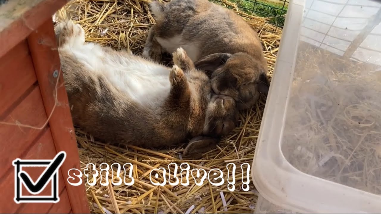 Still alive!! - YouTube