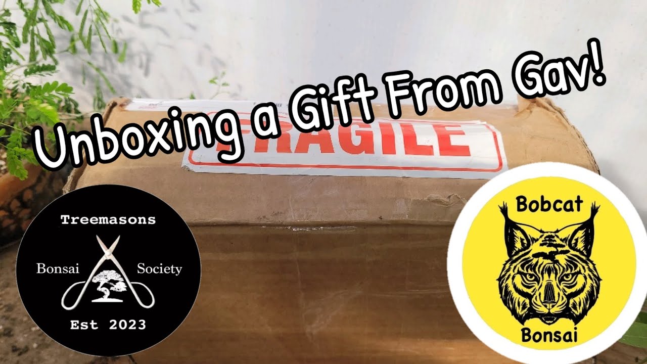 Unboxing a Gift From @NotAnotherBonsaiChannel - YouTube