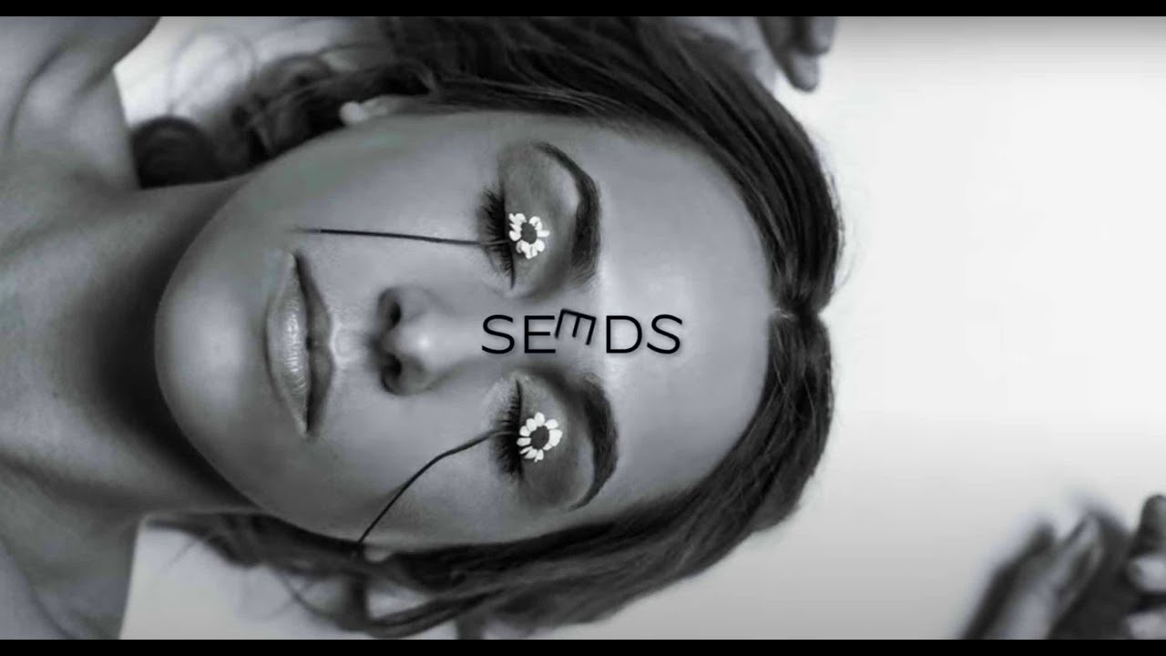Icon for Hire - Seeds (Official Audio) Visualizer - YouTube