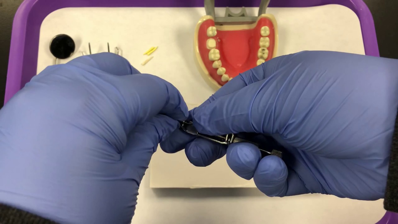 Universal Matrix System - YouTube