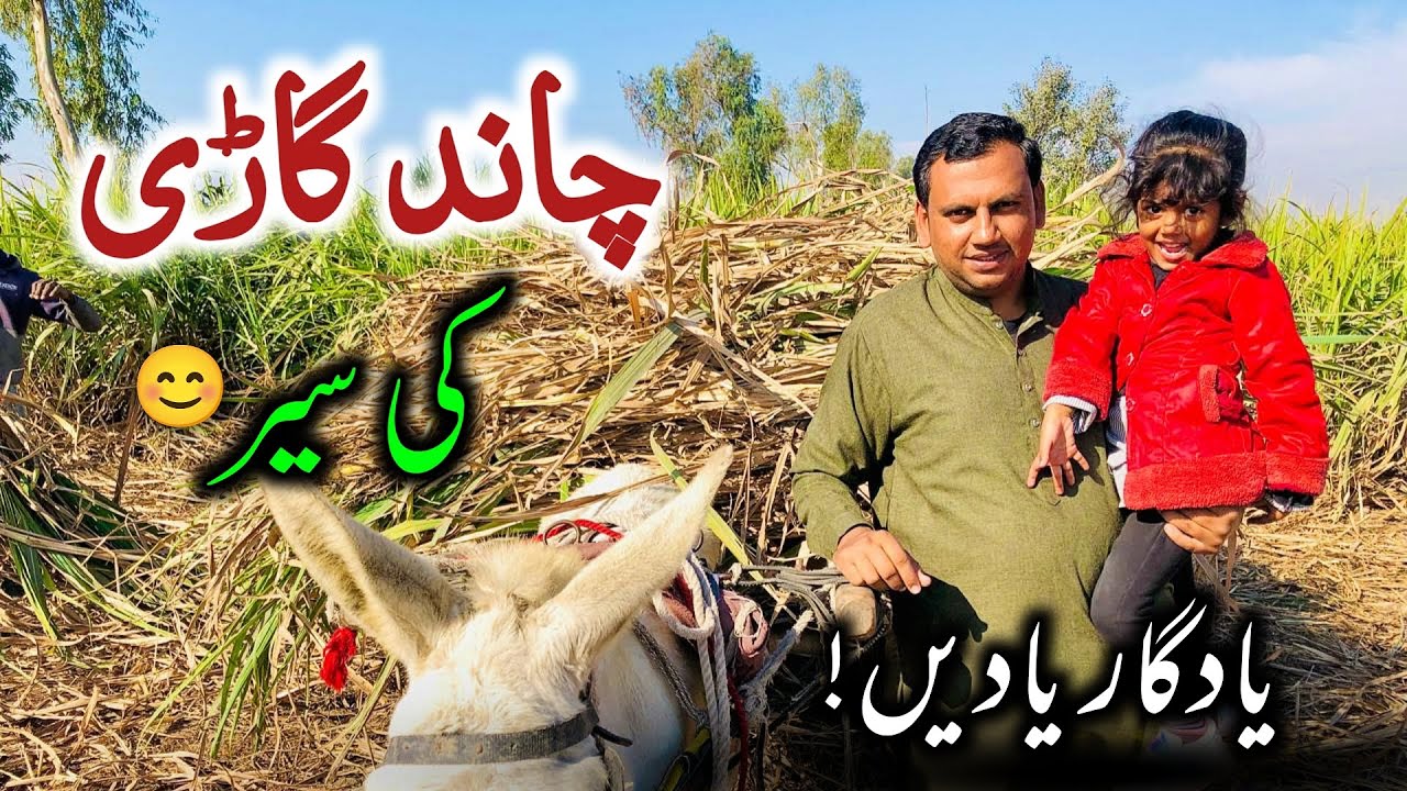 Gadha Gari ki Swaari | Village Tour | Pakistani Family Vlogs | Village ...