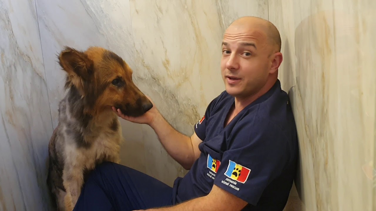 Singing vet - YouTube