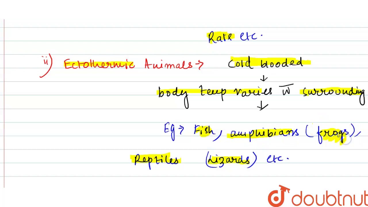 Ectothermic Animals Examples
