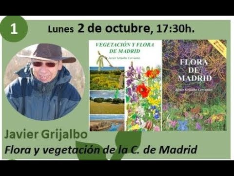 Flora De Madrid: La Diversidad Vegetal De La Capital | TeleFlor