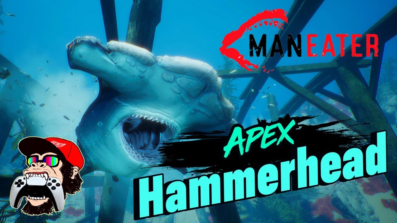 APEX HAMMERHEAD - MANEATER - YouTube