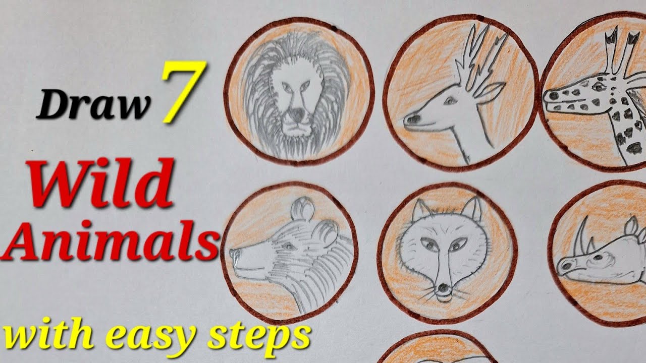 Wild animals drawing easy,Animals drawing easy for kids, How to draw ...