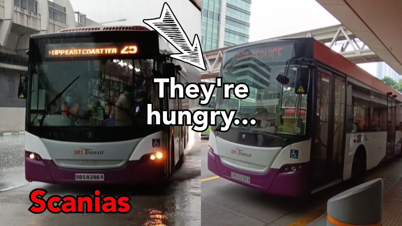 The Scania K230UBs Are Hungry!!! - YouTube