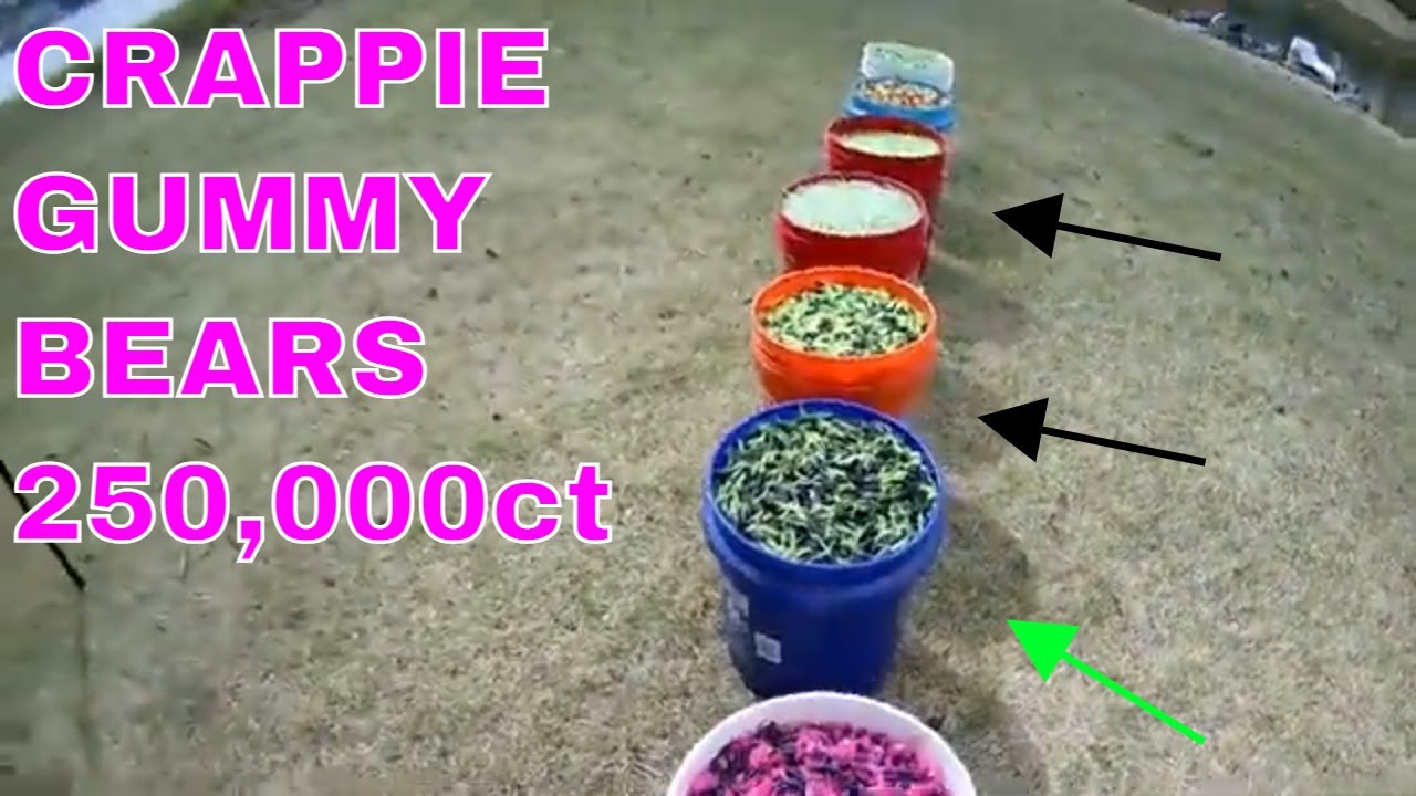 ‼CRAPPIE WON'T STOP BITING AND LET ME QUIT AND WALK AWAY! TO MANY BITES ...