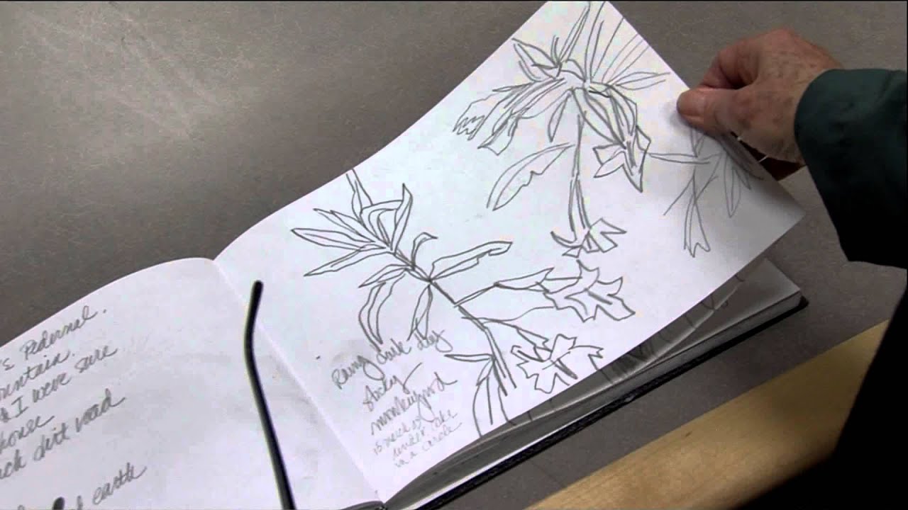 Artist's Sketchbook | Marsha Connell - YouTube