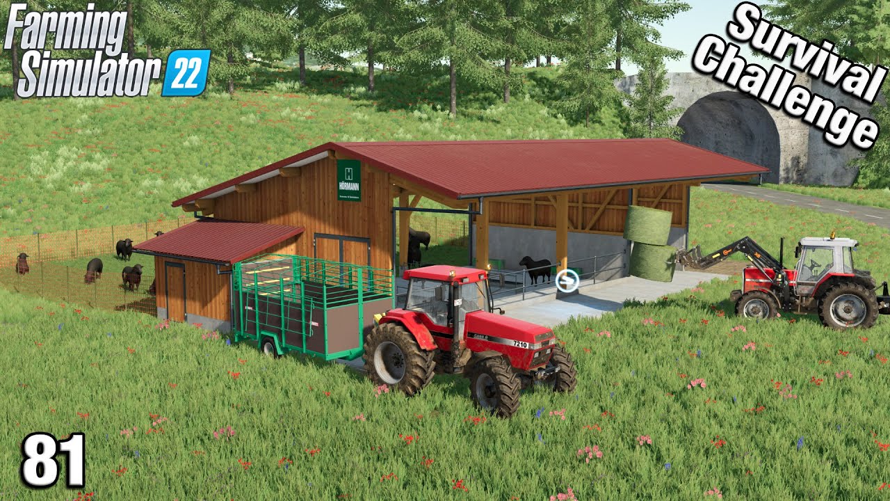 EXPANDING THE LIVESTOCK WITH A SHEEP FARM - Survival Challenge FS22 ...