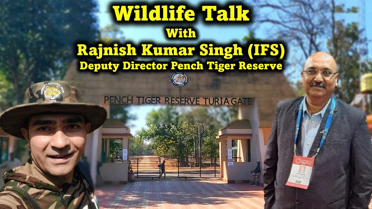 Wildlife Talk With Rajnish Kumar Singh (IFS) | Deputy Director Pench Tiger Reserve | - YouTube
