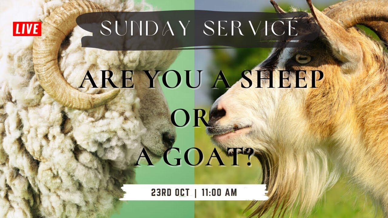 Are you a sheep or a goat? | English Service | 23rd Oct - 2022 | Bethel ...