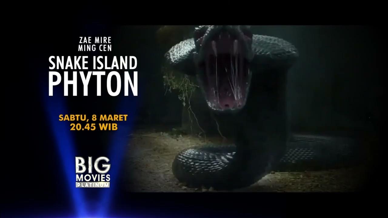 SNAKE ISLAND PYTHON - YouTube