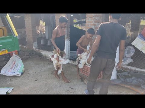 auto rickshaw chicken delivery , up auto family , #vlog # ...