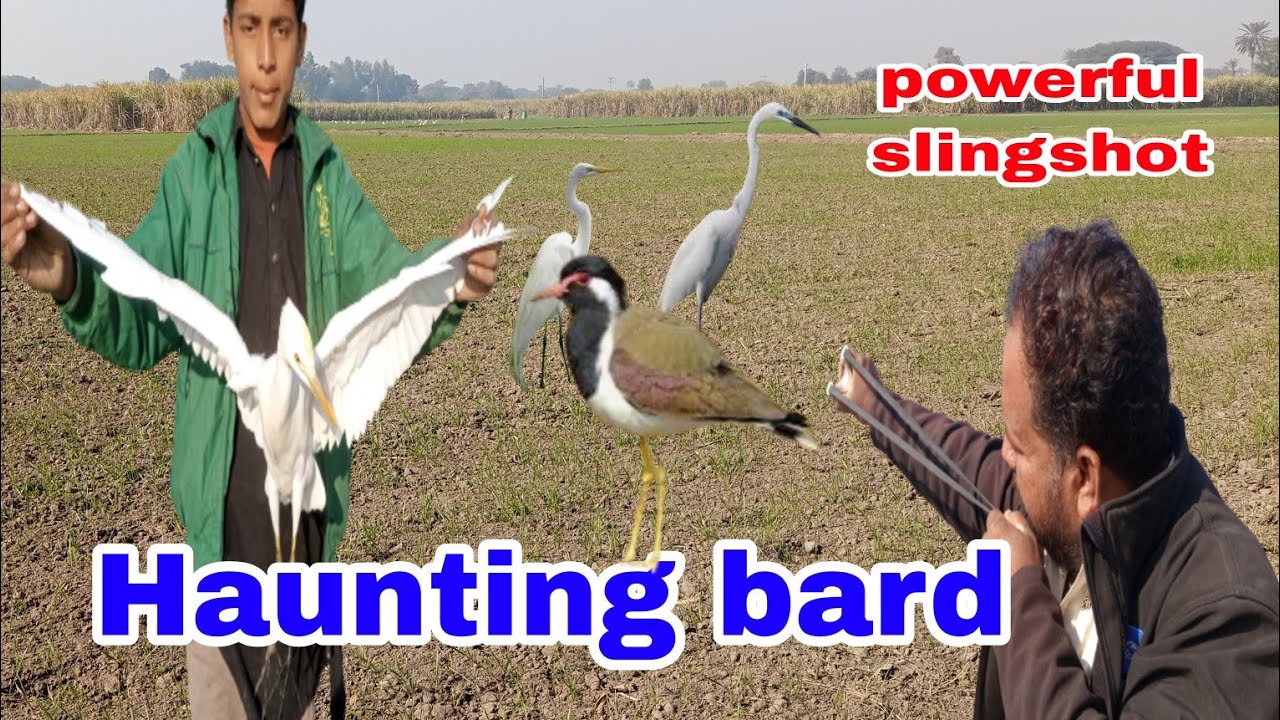 bard hunting with powerful sling shot - YouTube