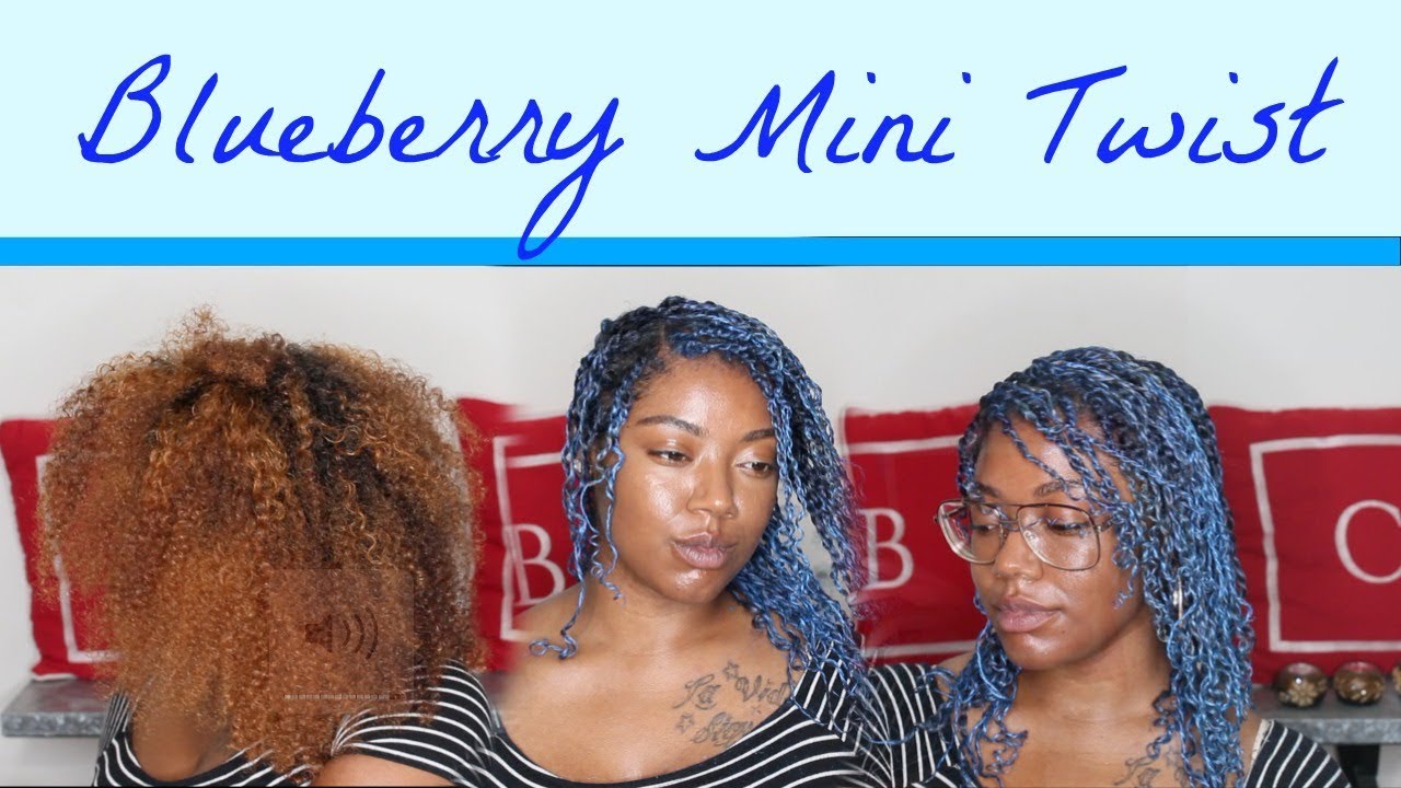 Blueberry Mini Twist | Natural Hair Tutorial| Protective Styles - YouTube