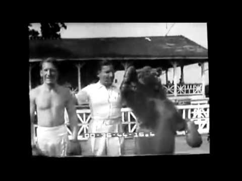 bear boxing man - YouTube