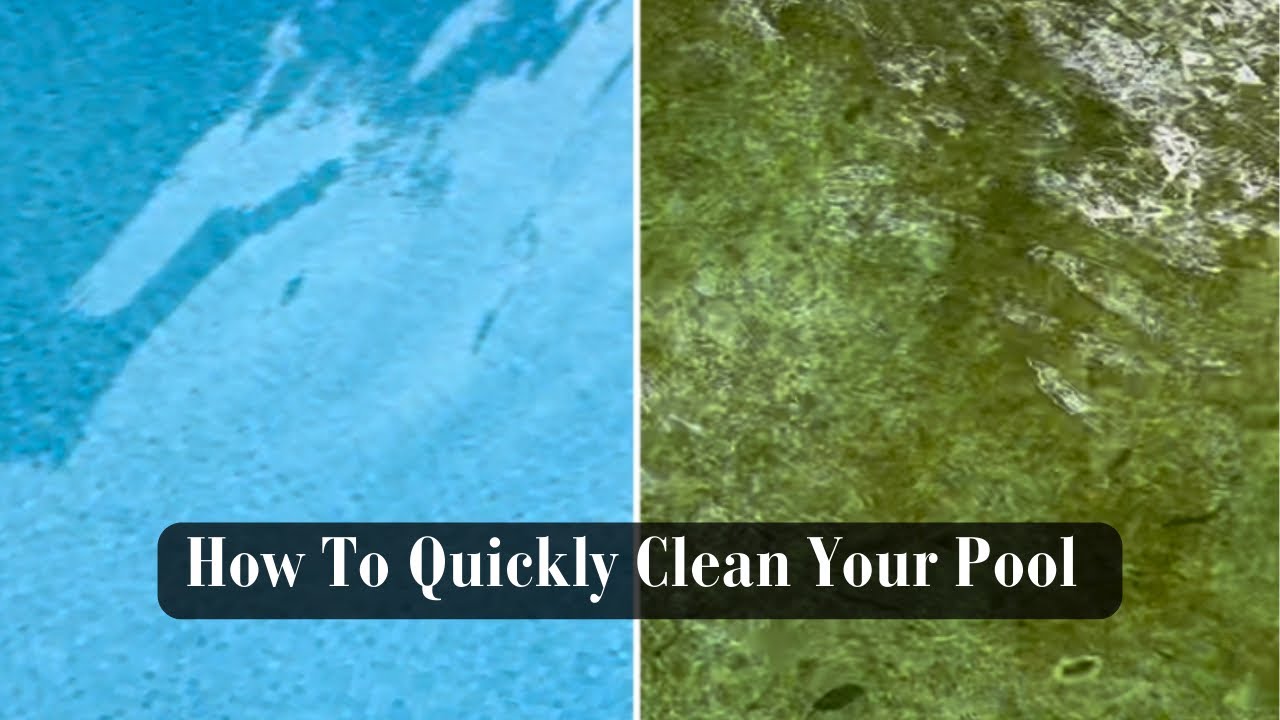 How To Quickly Clean Your Pool - YouTube