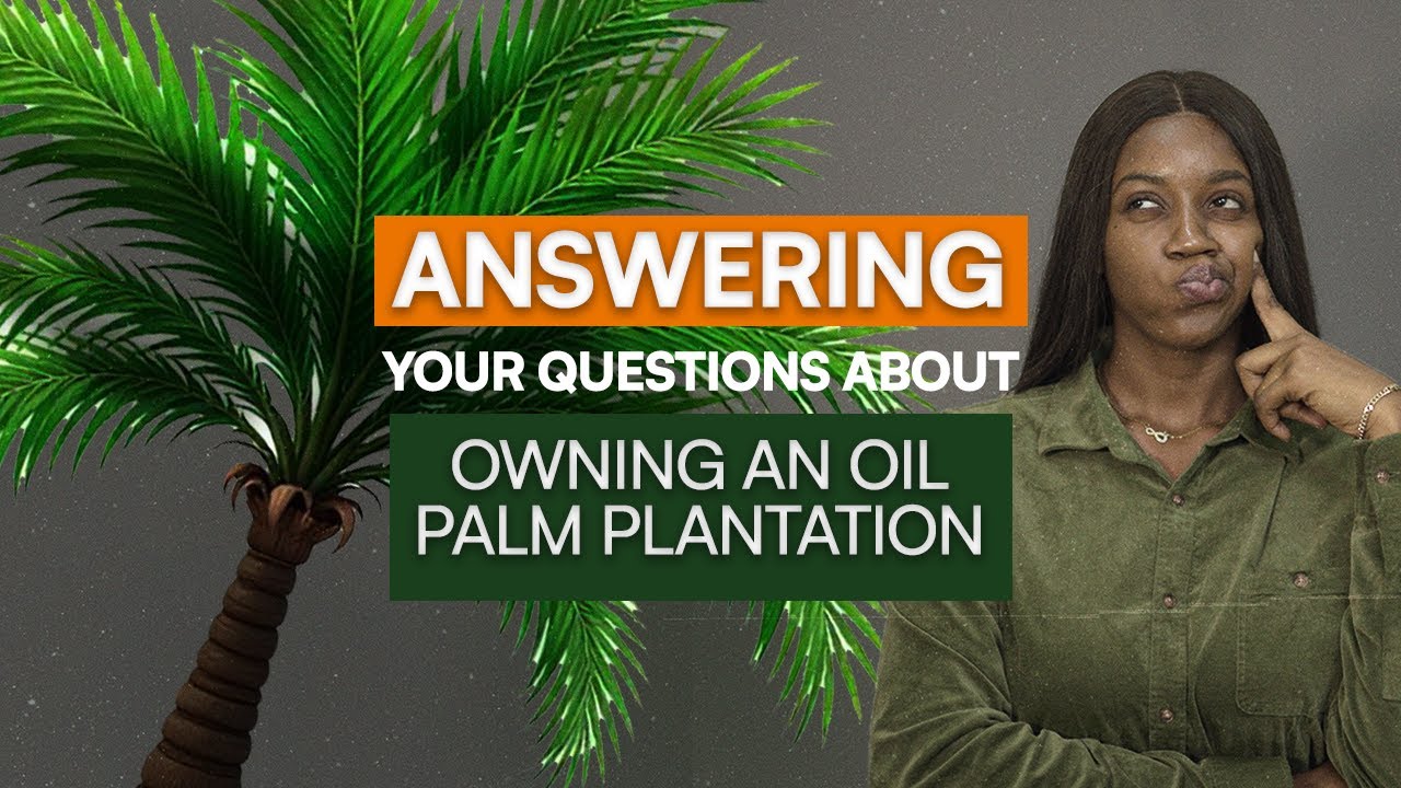 Questions About Palm City | FAQs Answered (Part 1) - YouTube