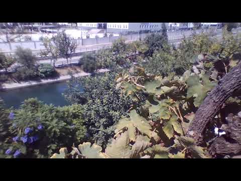 adana manas iöo ve fen lisesi