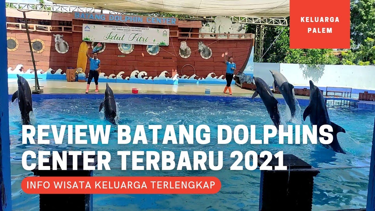 Review Batang Dolphins Center Terbaru 2021 - Rekomendasi Wisata Keluarga di Pekalongan Jawa ...
