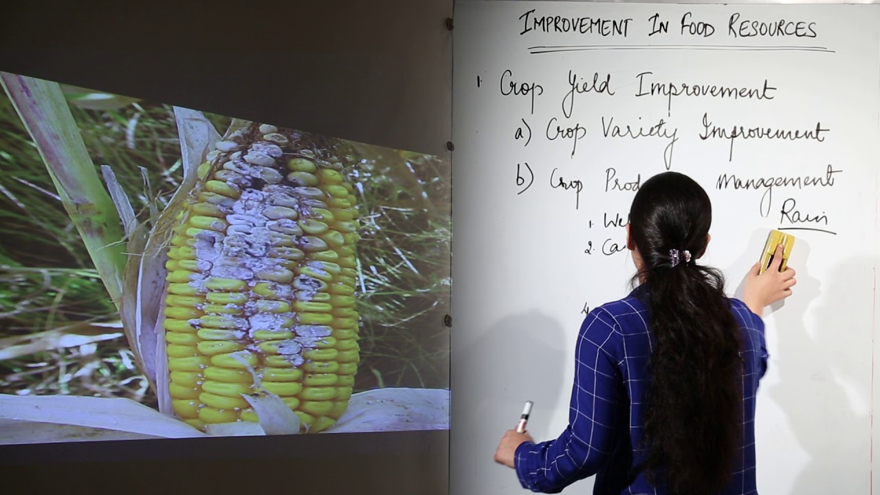 CBSE CLASS 9 - BIOLOGY - Chapter 6 - Improvement In Food Production - 2 ...