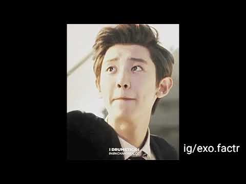 [EXO] chanyeol- senpai (FMV)