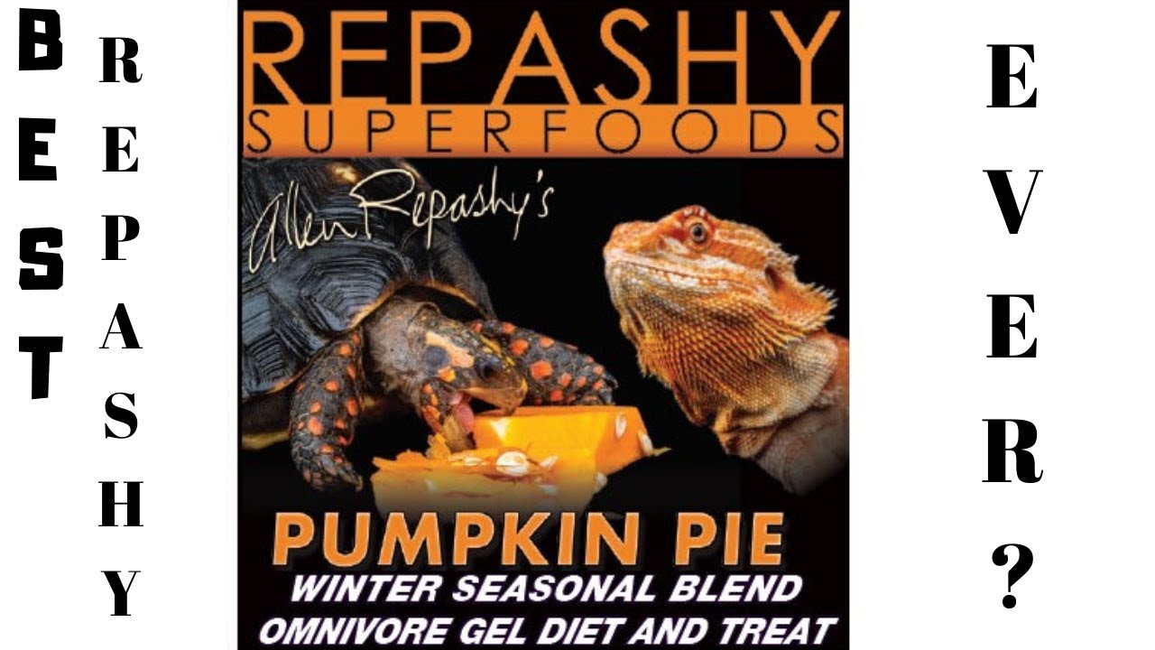 Repashy - Pumpkin Pie Review - YouTube