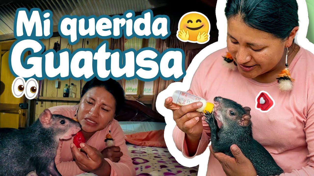 Así vivimos con una GUATUSA en el campo | Erika Aventura - YouTube