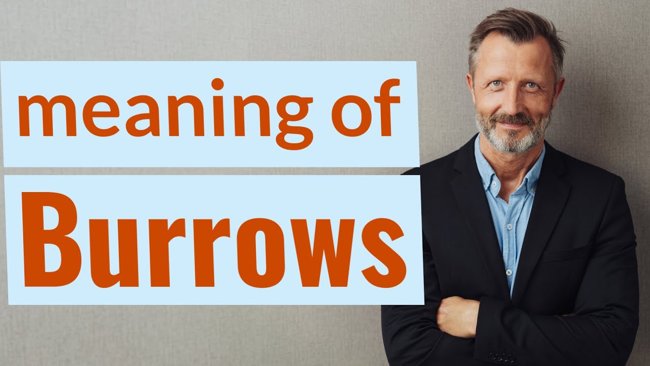 Burrows | Definition of burrows 📖 📖 - YouTube