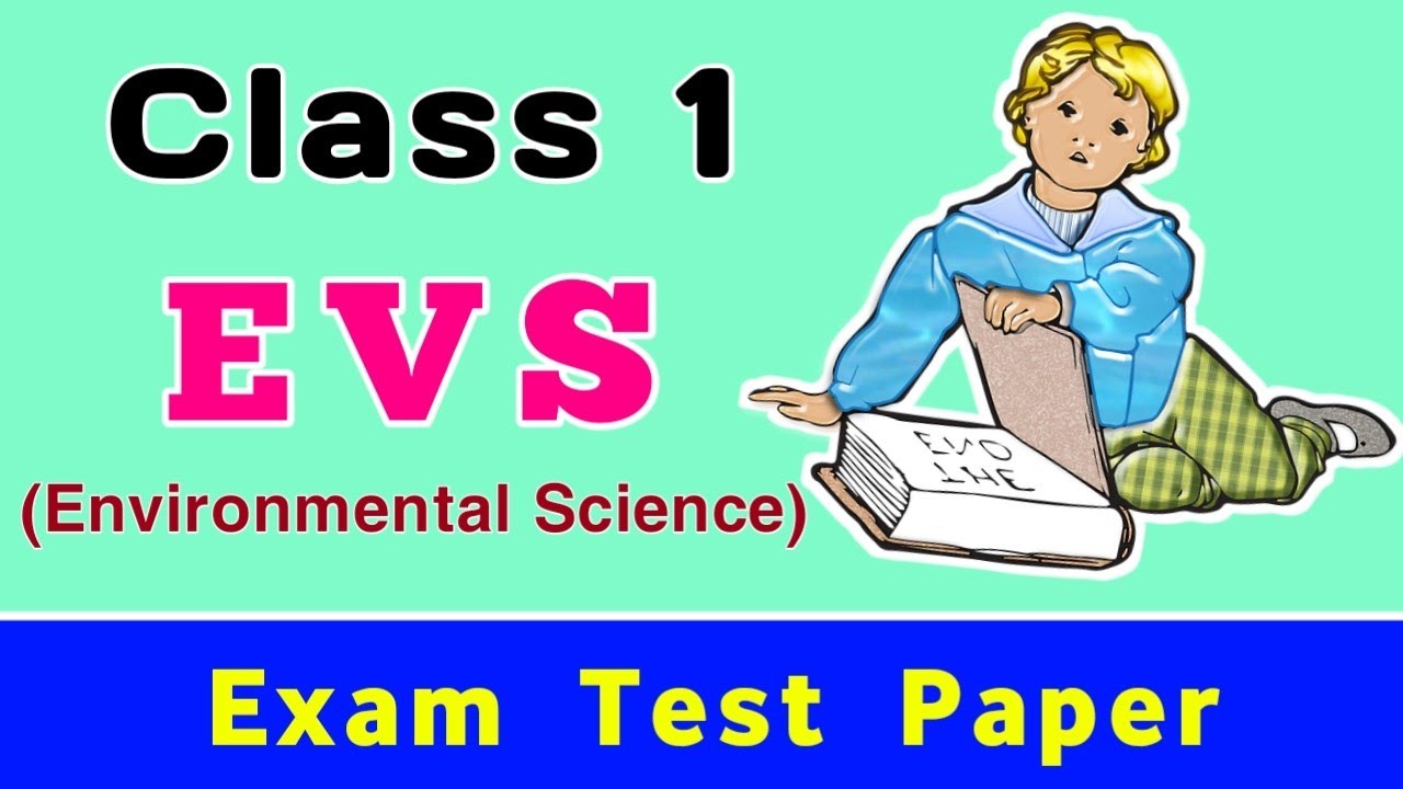 Class 1 evs । class 1 evs test paper । Class 1 evs Worksheet । evs ...