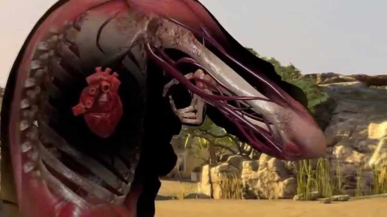 Sniper Elite 3 - X-ray shot compilation (1080p/Ultra) - YouTube