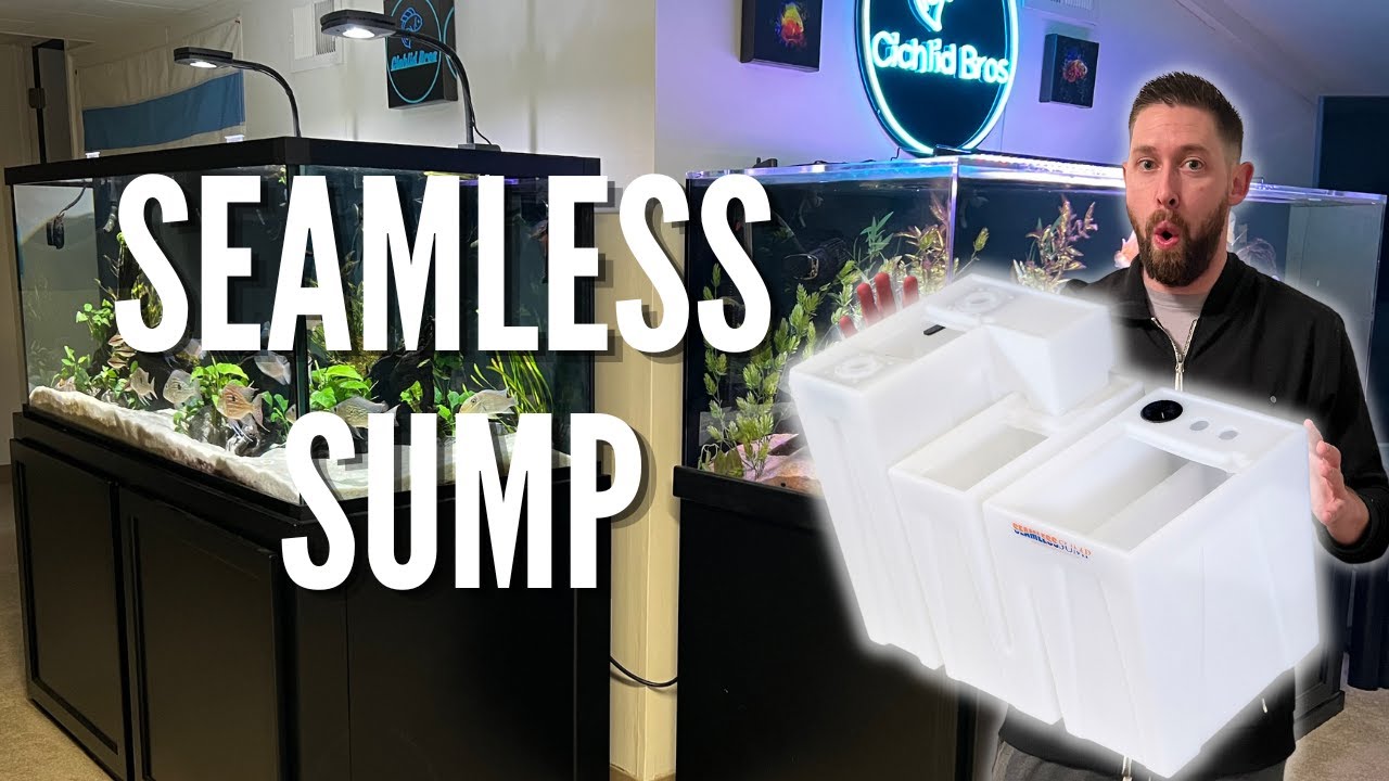 Unboxing the Seamless Sump Filtration for My New Custom Aquarium - YouTube