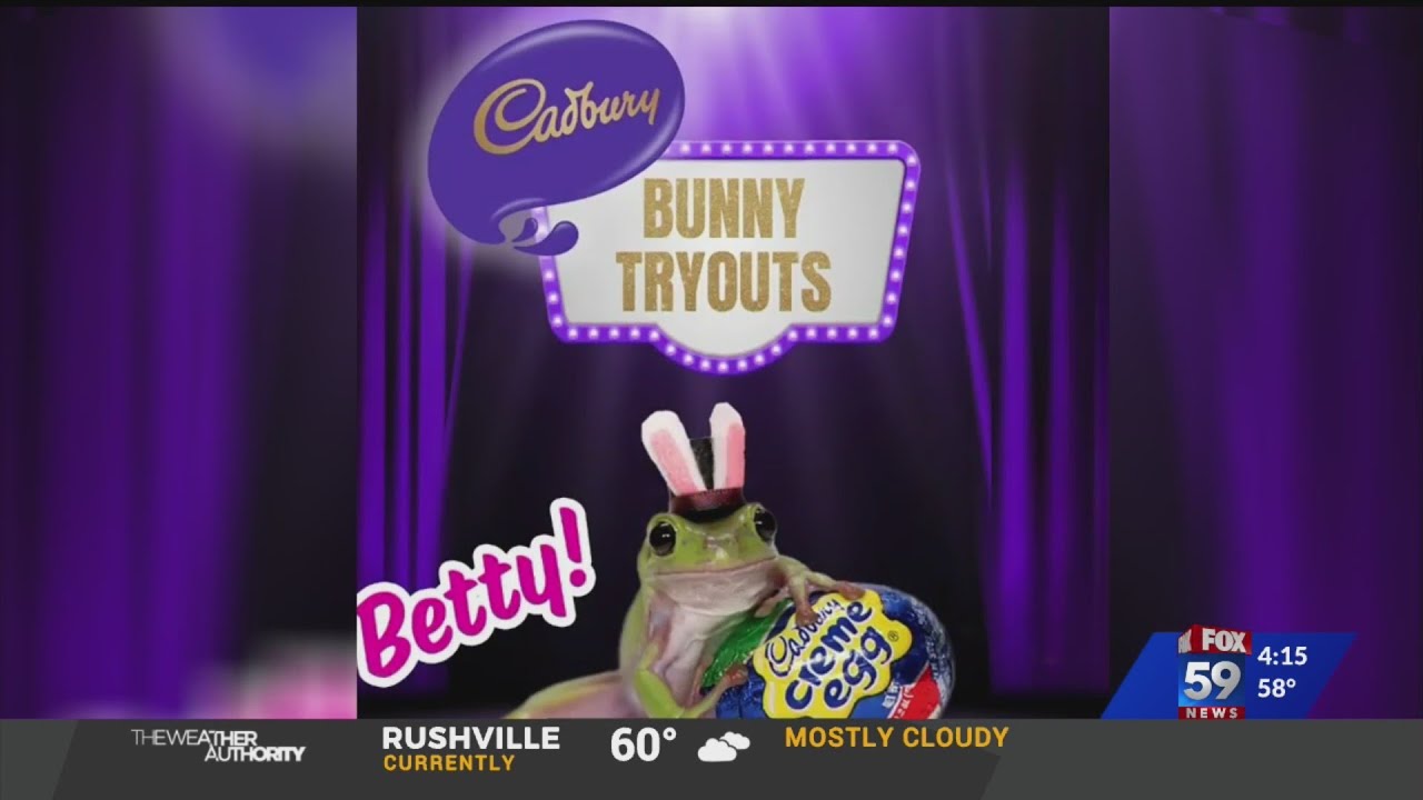2021 Cadbury bunny winner announced - YouTube