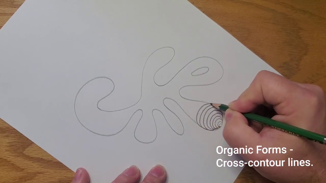 Introduction: Organic Forms - Cross-contour lines - YouTube