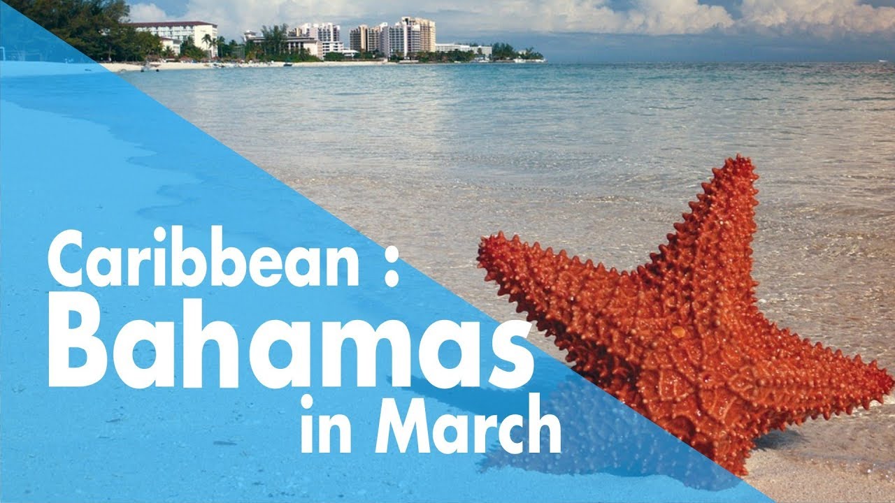 Caribbean : Bahamas in March / Spring Break / March - YouTube