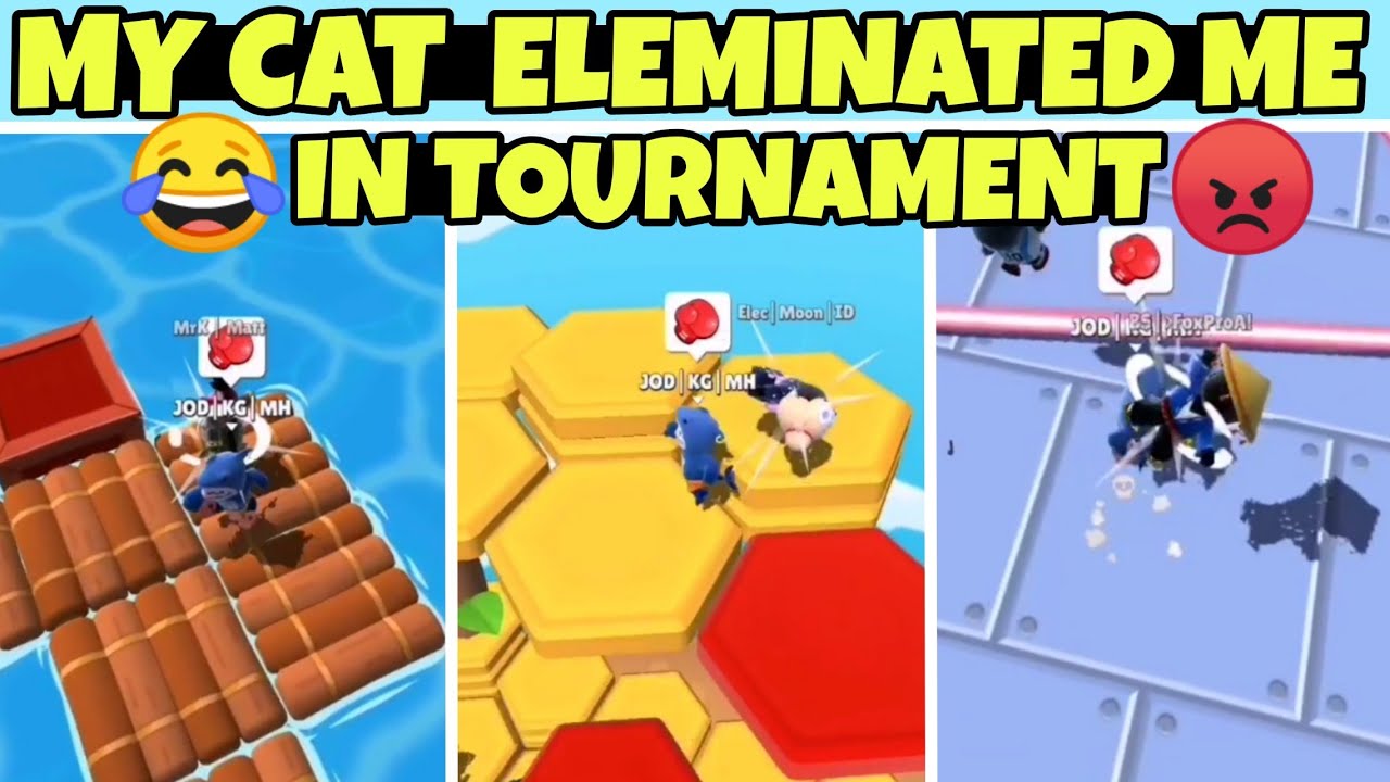 My Cat Made Me Cry After This Tournament 😂 | STUMBLE GUYS | - YouTube