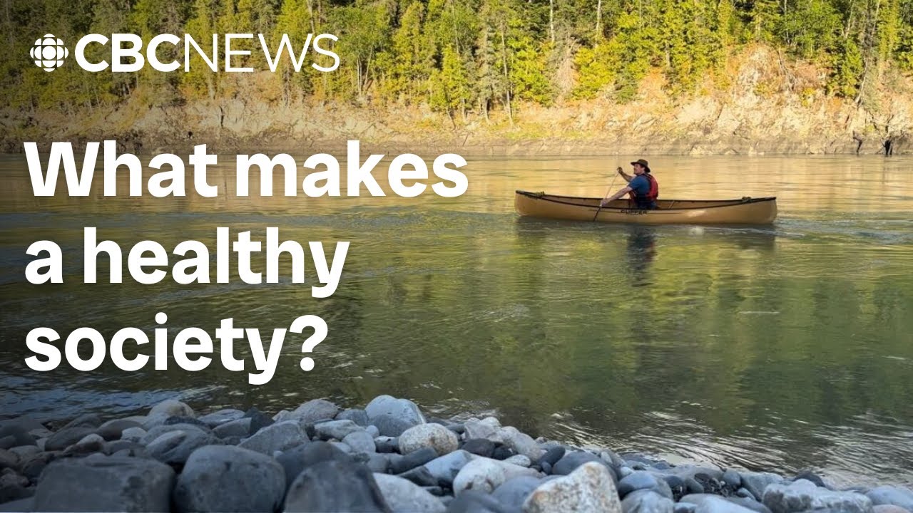 What makes a healthy society? - YouTube