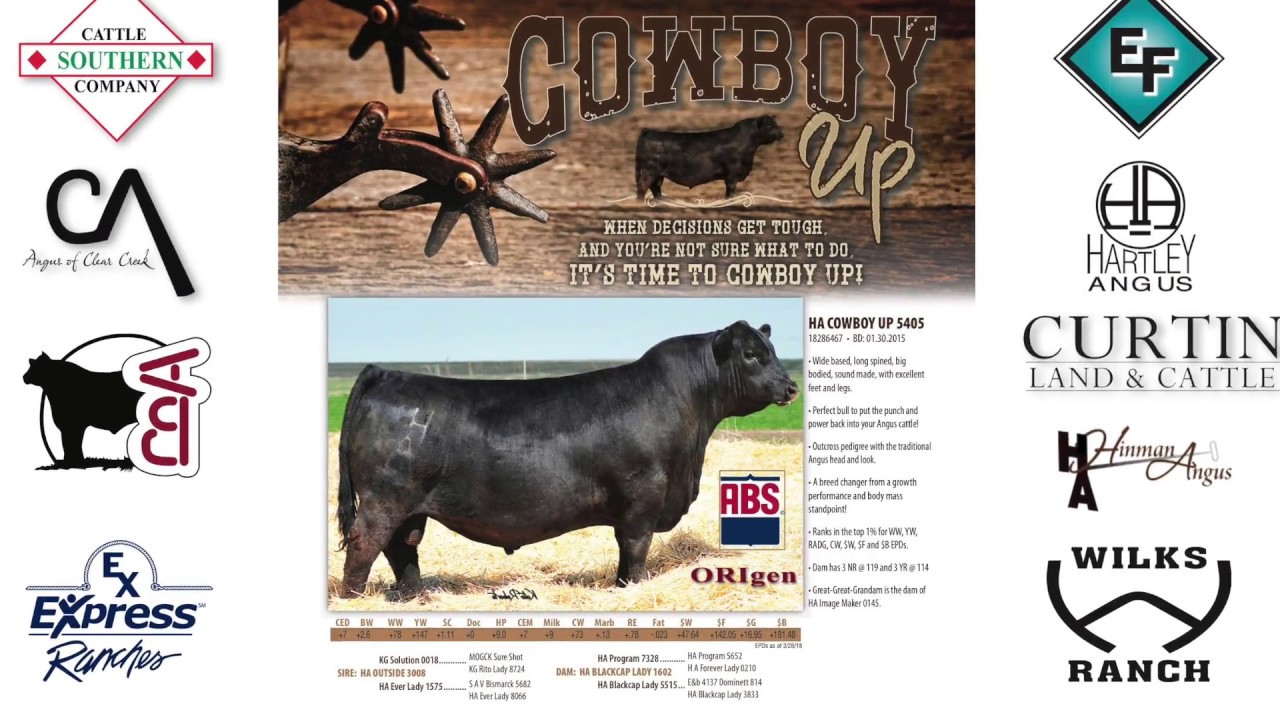 Wilks Ranches - Cowboy Up Promotional Video 2018 - YouTube