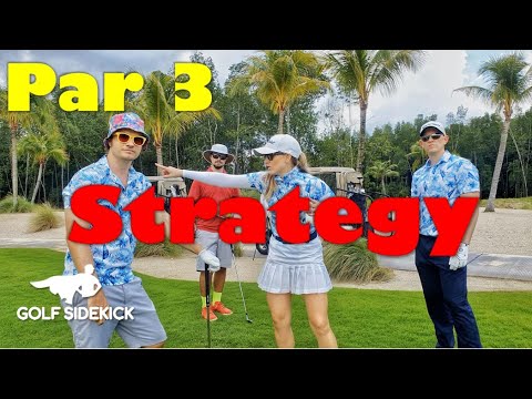 Perfect Par 3 Challenge: A Hole for Every Golfer - YouTube