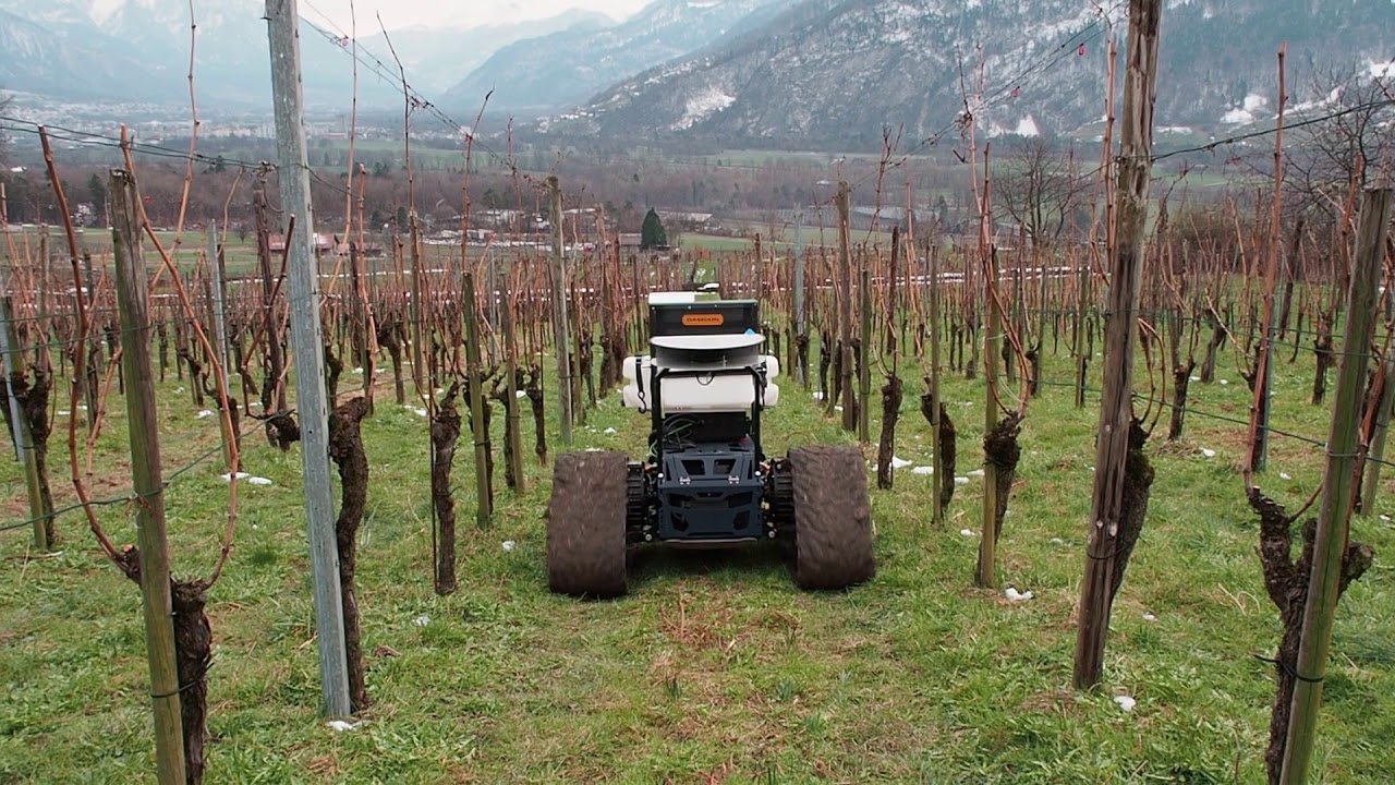 Autonomes Arbeiten im Weinbau - Robot Makers RowCropPilot - YouTube