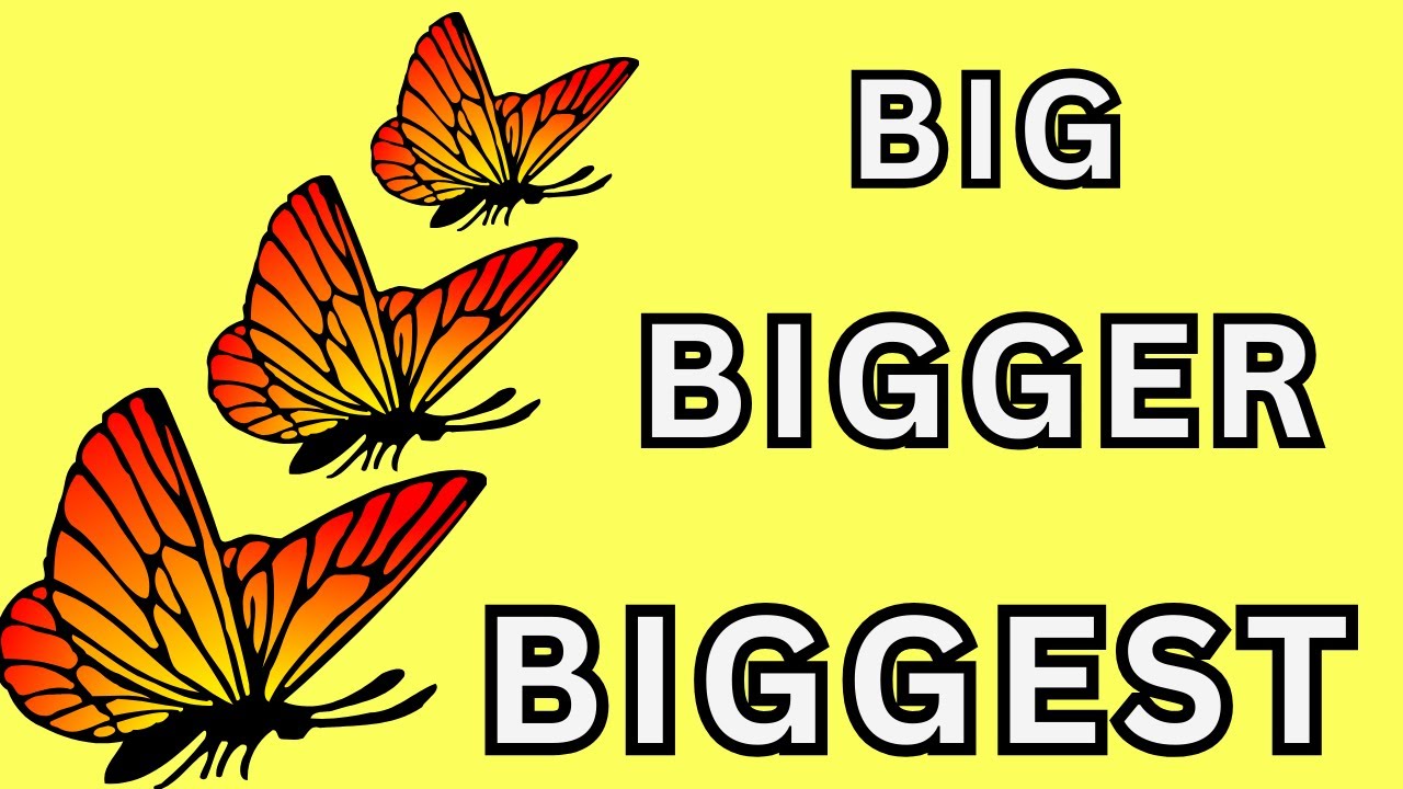 Big Bigger Biggest, Compare Sizes, Learn Sizes, Compare Sizes for ...