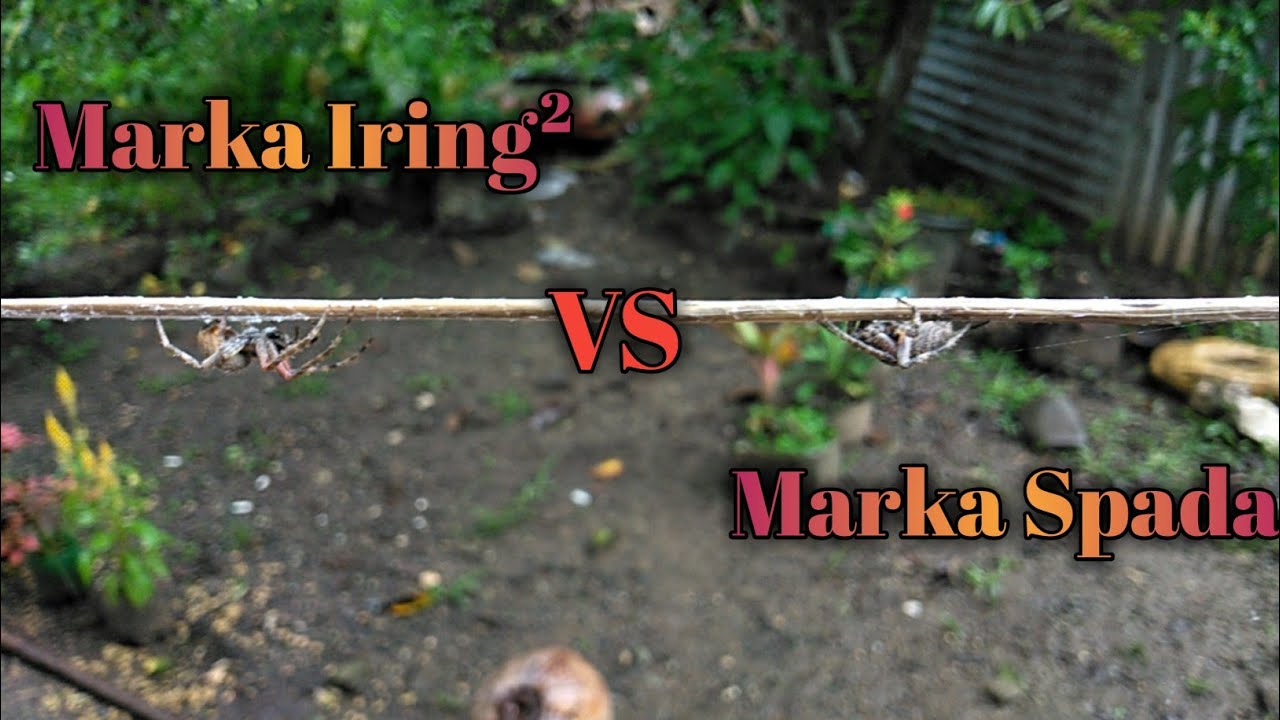 Marka Spada vs Marka Iring² 3×Wins - YouTube