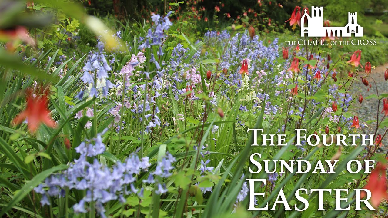 The Fourth Sunday of Easter - YouTube