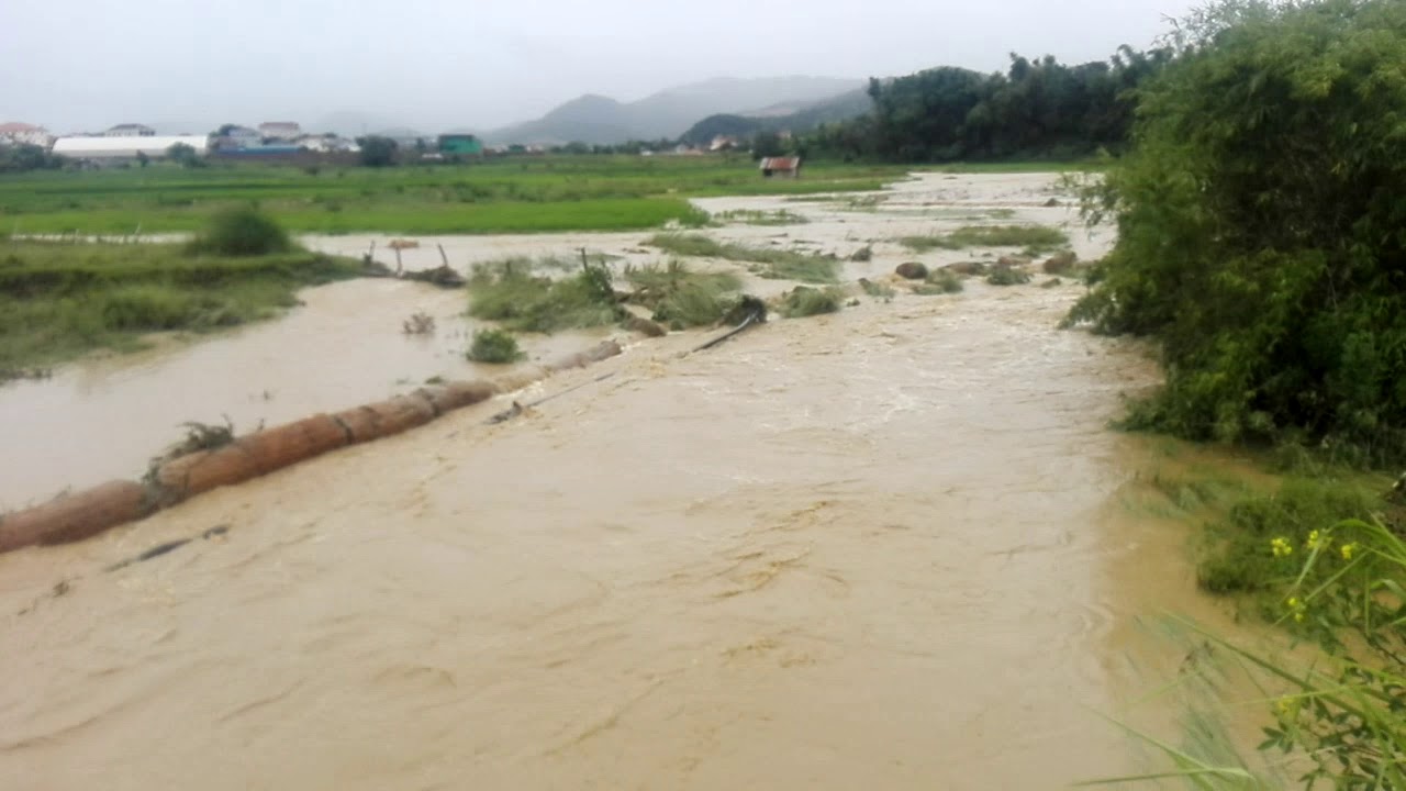 Xov xwv kub heev hnub 4/8/2019 - YouTube