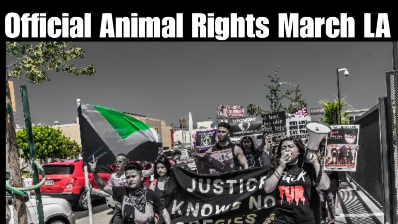 Jane Unchained News Network LIVE at the Official Animal Rights in Los ...