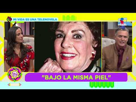 ¿Juan Soler se llevaba mal con Kate del Castillo en 'Bajo la Misma Piel' | Sale el Sol