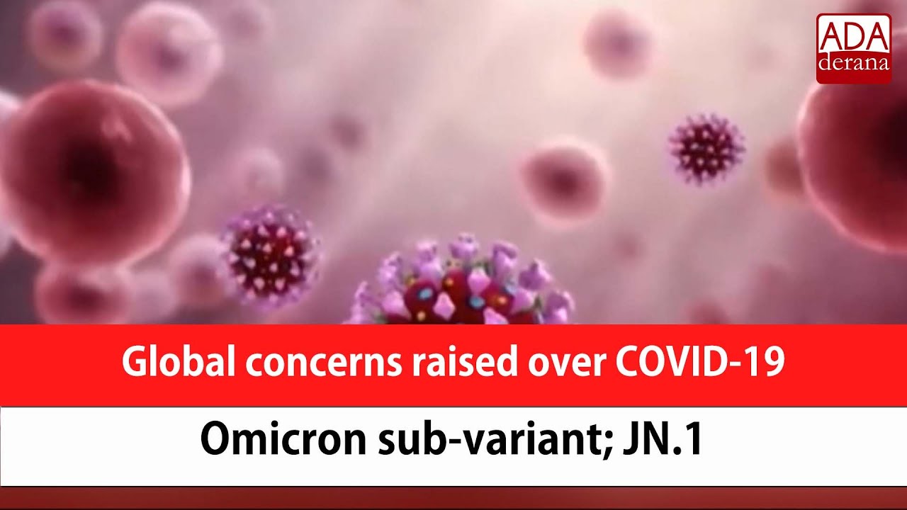 Global concerns raised over COVID-19 Omicron sub-variant; JN.1 (English ...