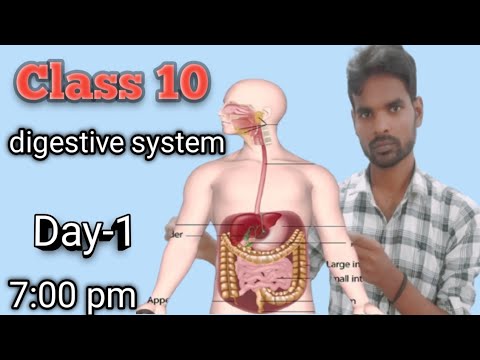 Class 10 BIOLOGY|| digestive system( part -1) ||pachan tantra - YouTube