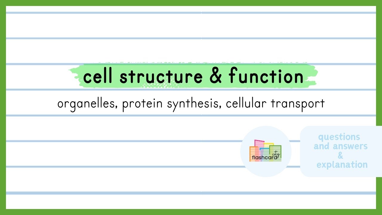 Your One Video Away from A+! Click here for CELL ANATOMY Questions ...